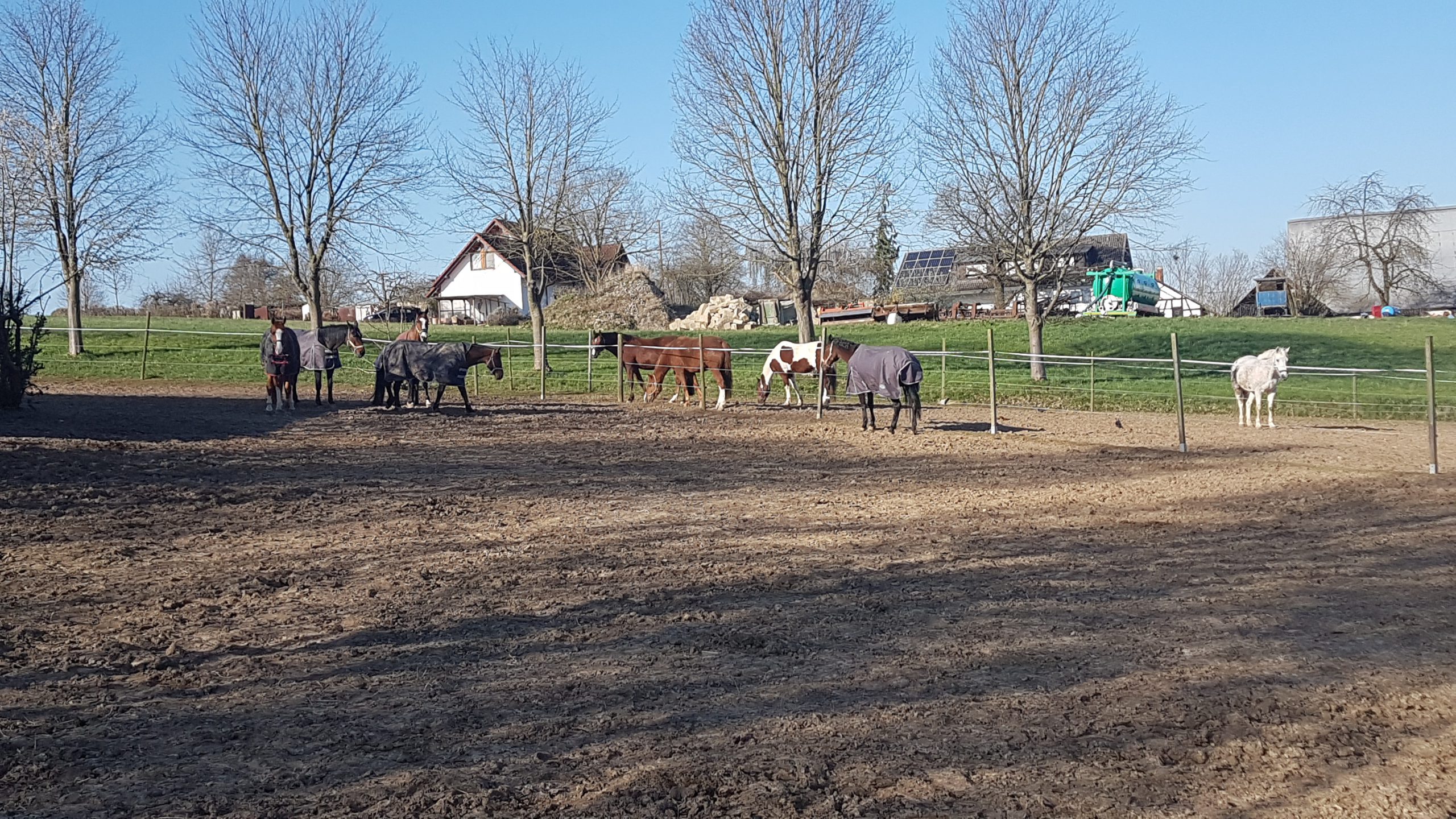 Reitstall Jäger | Galerie